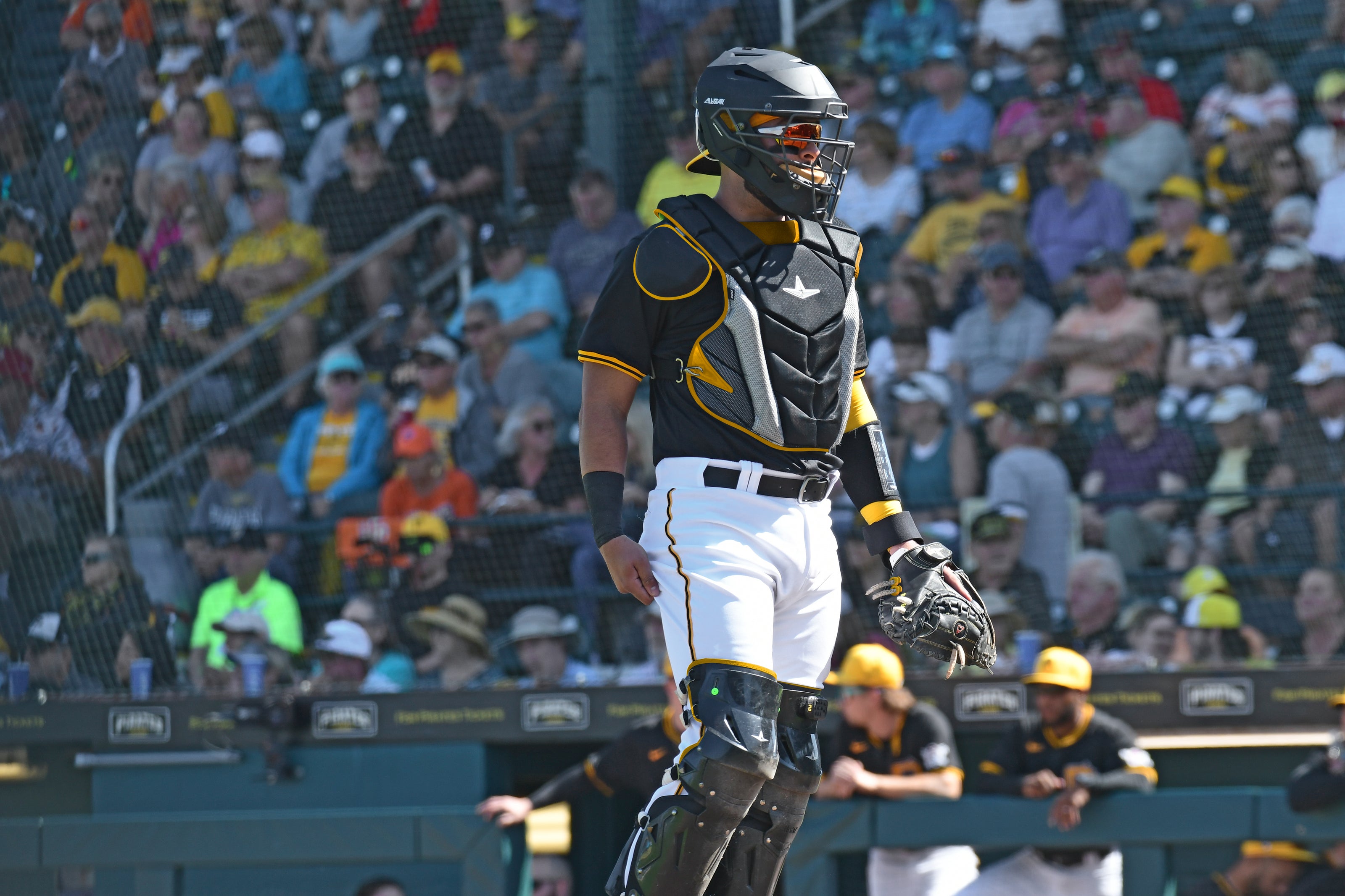 MVP-PRO Series™ Adult Catching Kits – All-Star Sports